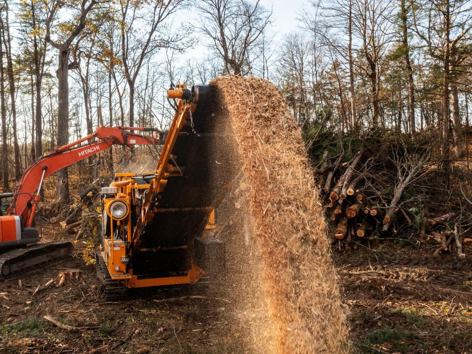 Tree Removal and Tree Trimming Services - Advantage Tree Service ...