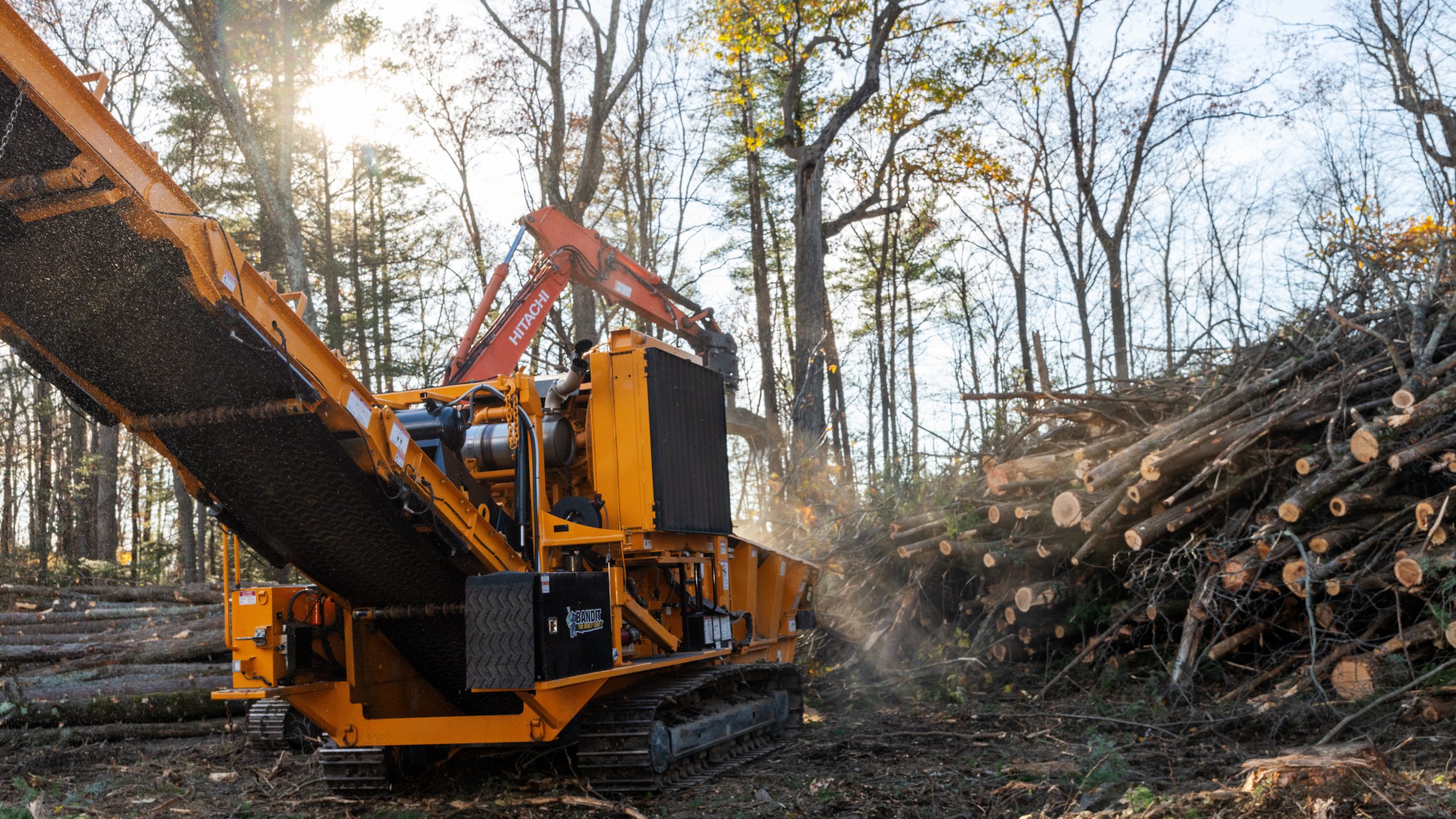 Contact - Advantage Tree Service